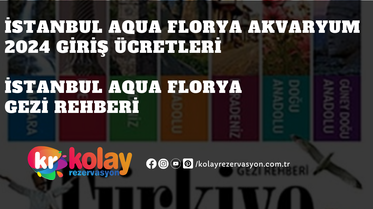 İstanbul Aqua Florya Akvaryum 2024 Giriş Ücretleri – İstanbul Aqua ...