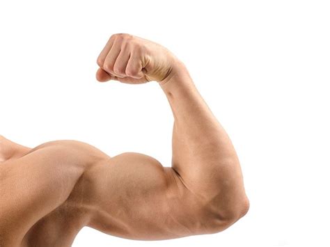 En büyük biceps kaç cm? - Kolay Rezervasyon Blog | Spor ve Sporcu için ...